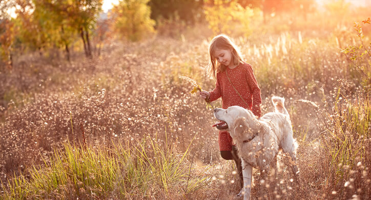 Kinder Schuhe für Spaziergänge mit Hund | Wanderschuhe.net